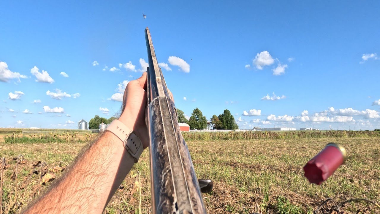 My new bow build + (Northern IL Dove Hunt) - YouTube