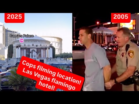 Cops filming location. Season 18 episode, theft from flamingo hotel ...