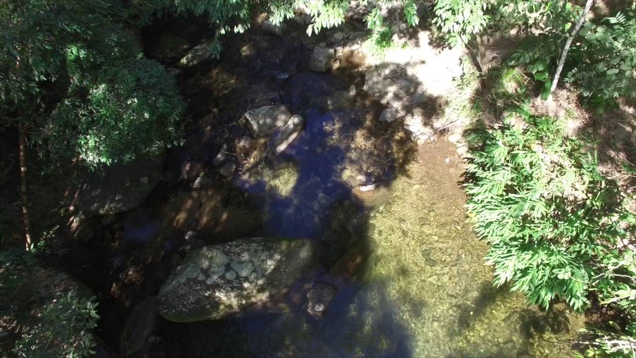 Sana ecological park, Sana, Rio de Janeiro, Brazil - YouTube