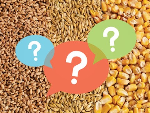 Does Your Feed Pass The Test? Making Sense Of Feed Test Results ...