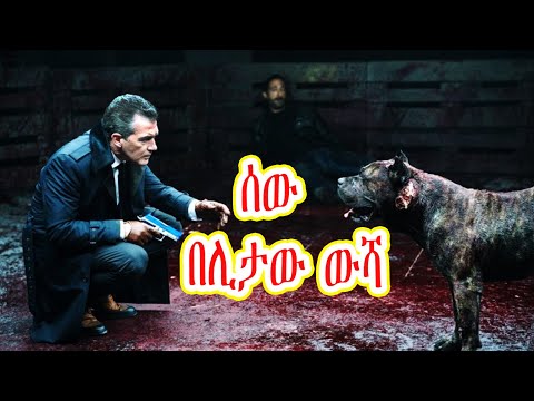❗❗ የአለማችንን ገዳይ ውሾች ❗❗ በማደባደብ ሱስ የተጠመደው ሰውዬ ሻንፒየኑ ውሻው ሰዎችን መብላት ጀመረ || ድንቅ ፊልም-Dink Film