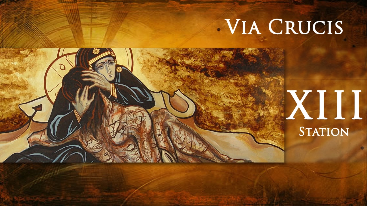 Stations of the Cross - 13th Station - Jesus is taken down from the ...