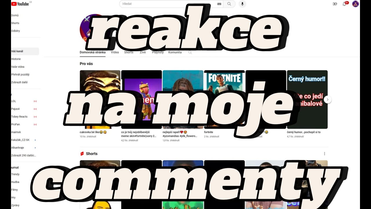 reakce na moje hejty a commenty na yt (dík za 450 subs) - YouTube