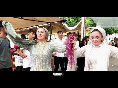 Yusuf Evin Muhteşem New Segavi 2024 / Lokman & Emine / Herdem Video