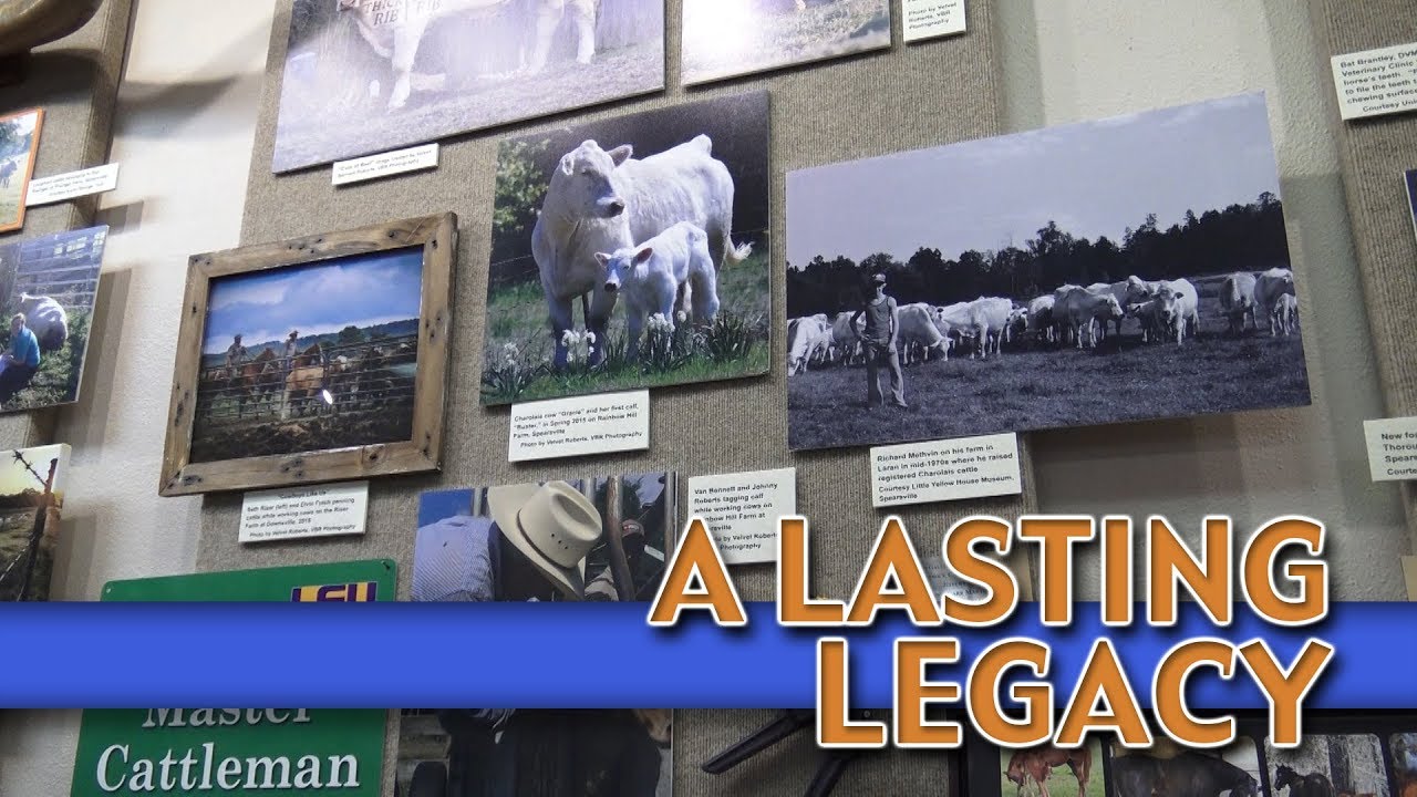 A Lasting Legacy - YouTube