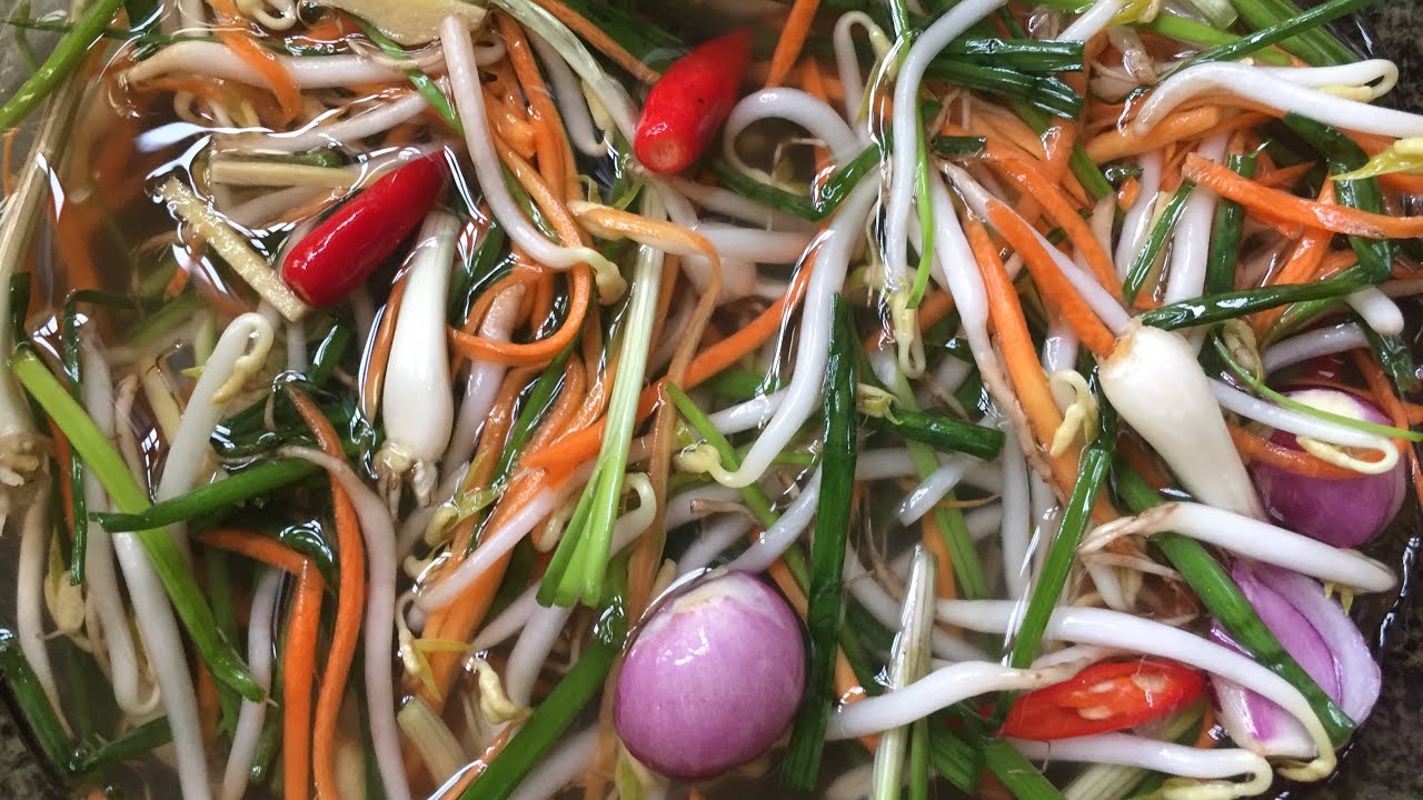Cách làm DƯA GIÁ để được lâu/ Dưa giá chống ngán ngày tết/Vietnamese ...