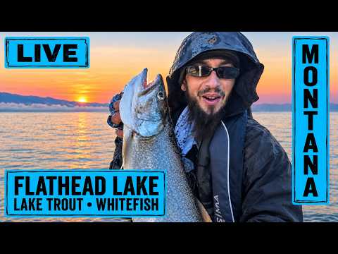 Live from Flathead Lake Day 3 Finale - Montana Lake Trout Marathon Whatever Bites