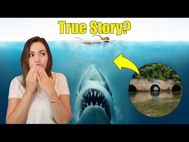 Jaws Real Story The True Story Behind 'Jaws' And The Man Who Bagged