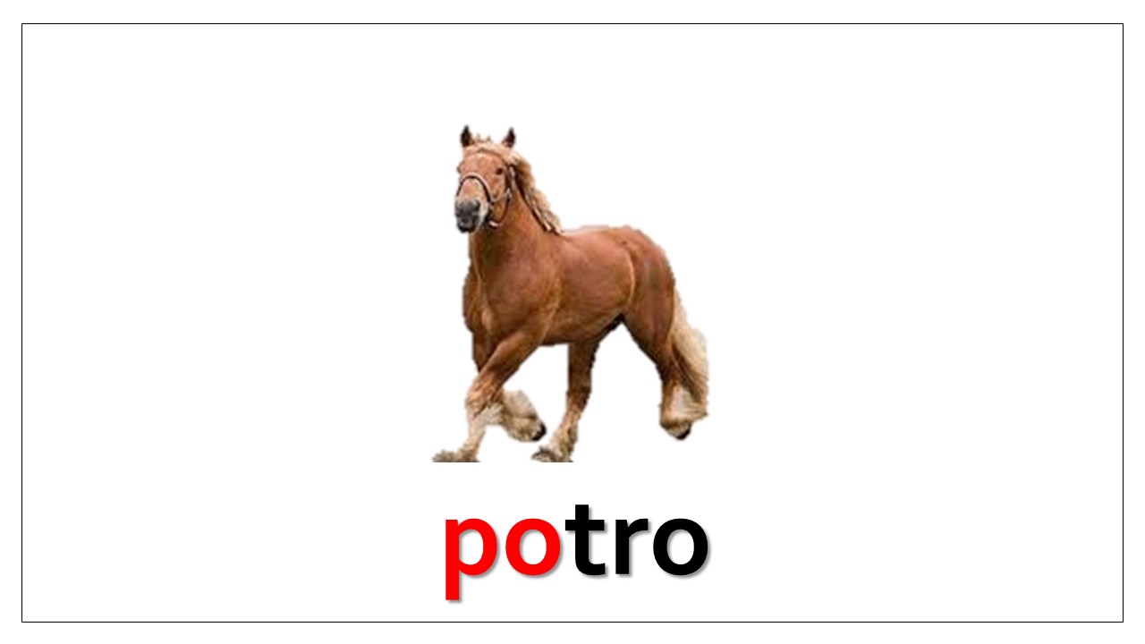 Palabras con po - YouTube