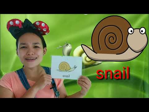 Online learning: letter Ss for preschoolers and kindergartens.