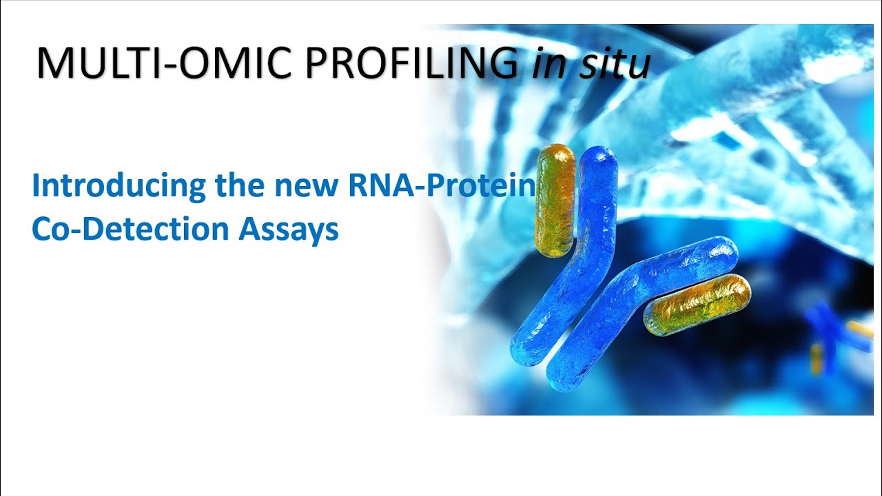 2020 Sept 29 NPI Co-Detection Launch Webinar: Introducing ACD's New RNA ...