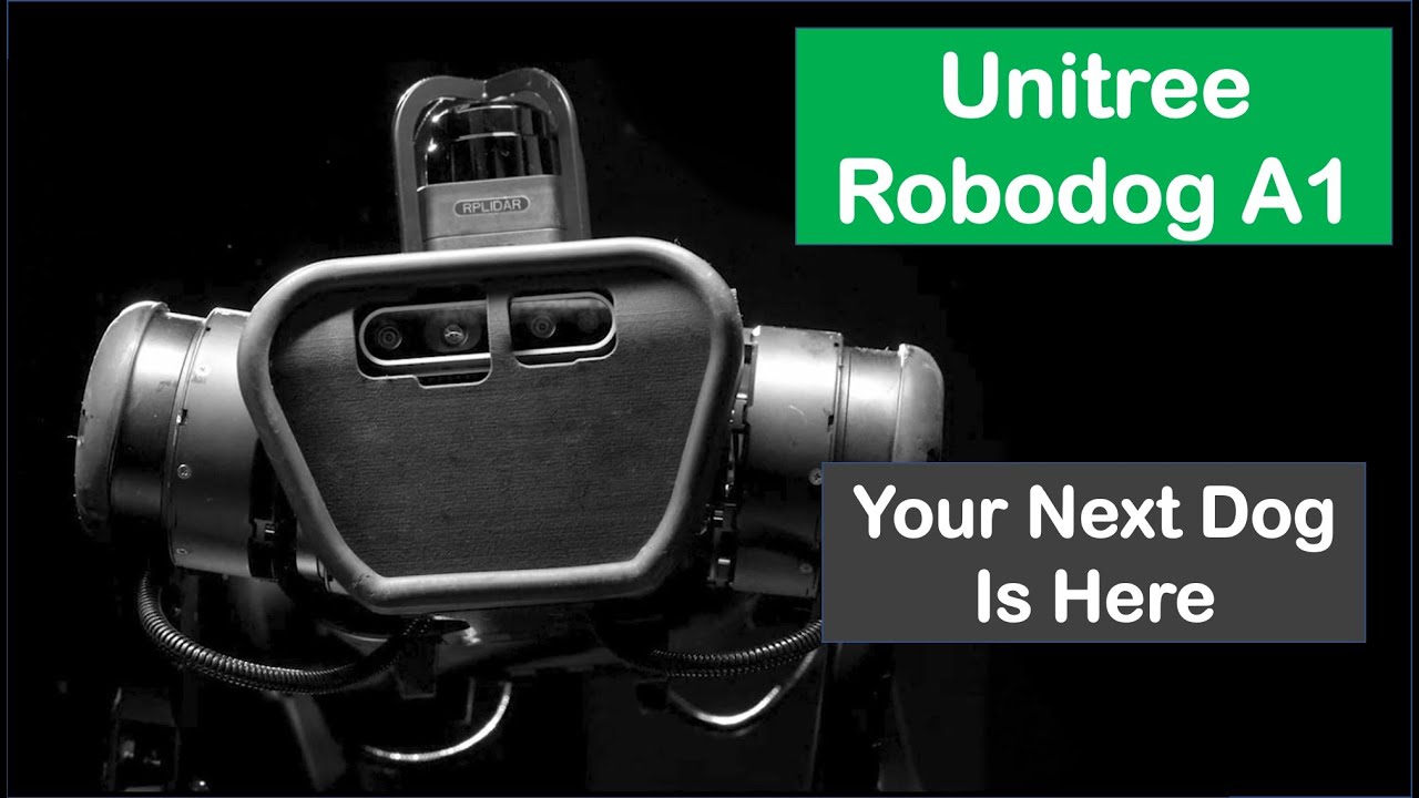 Unitree A1 - Your Next Dog Is Here - YouTube