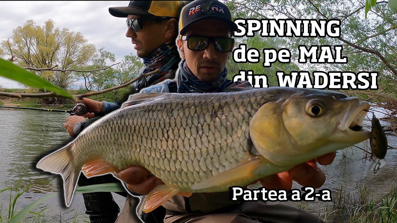 PESCUIT la CLEAN - Andrei Sava - YouTube