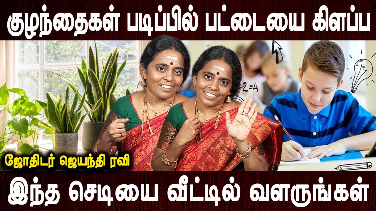 48 நாளில் நல்ல மாற்றம் தெரியும்| Veetil valarka vendiya chedigal ...