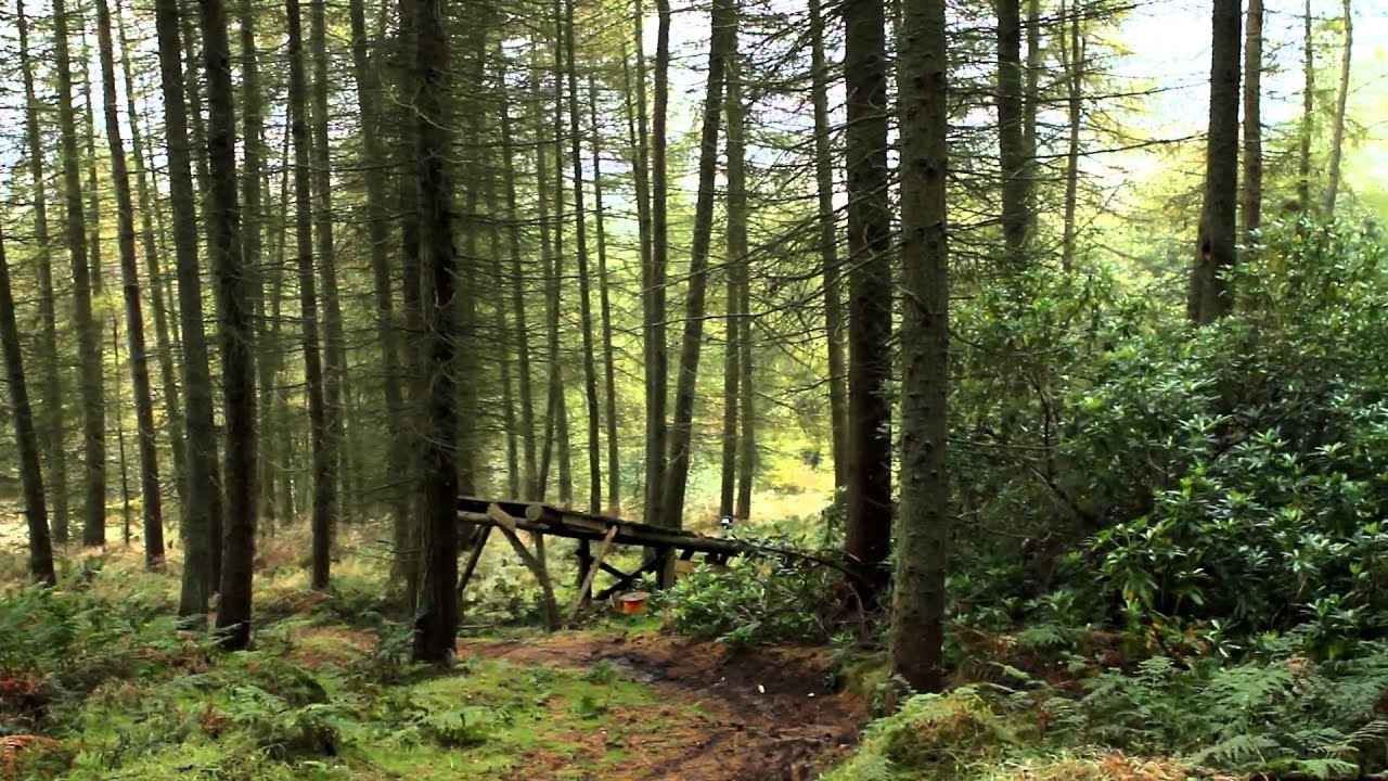 Promo Mountain biking - YouTube