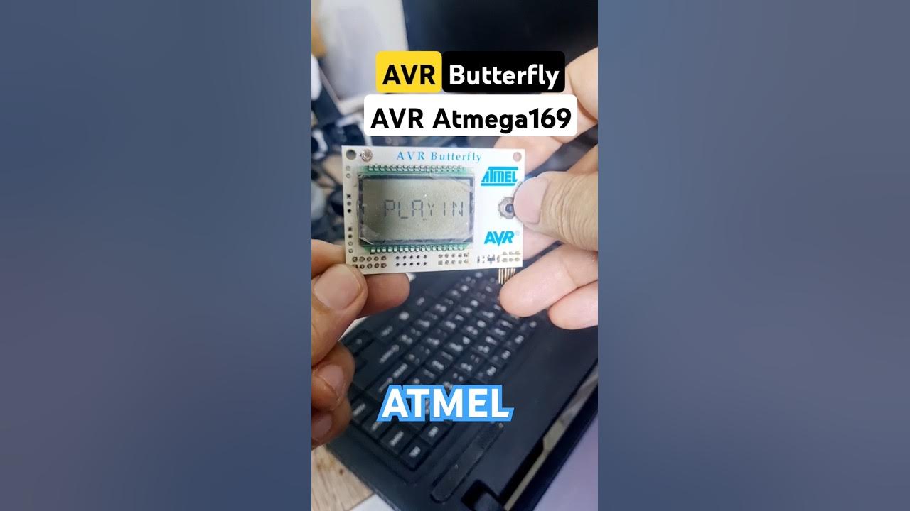 AVR ButterFly : Atmega169 #trending #atmega - YouTube