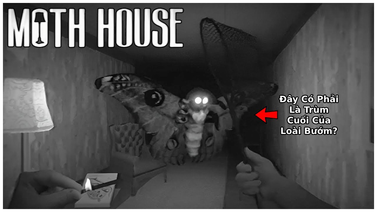 Triệt Phá Đường Dây "Bướm Đêm" Do Youtuber 9X Cầm Đầu | Moth House ...