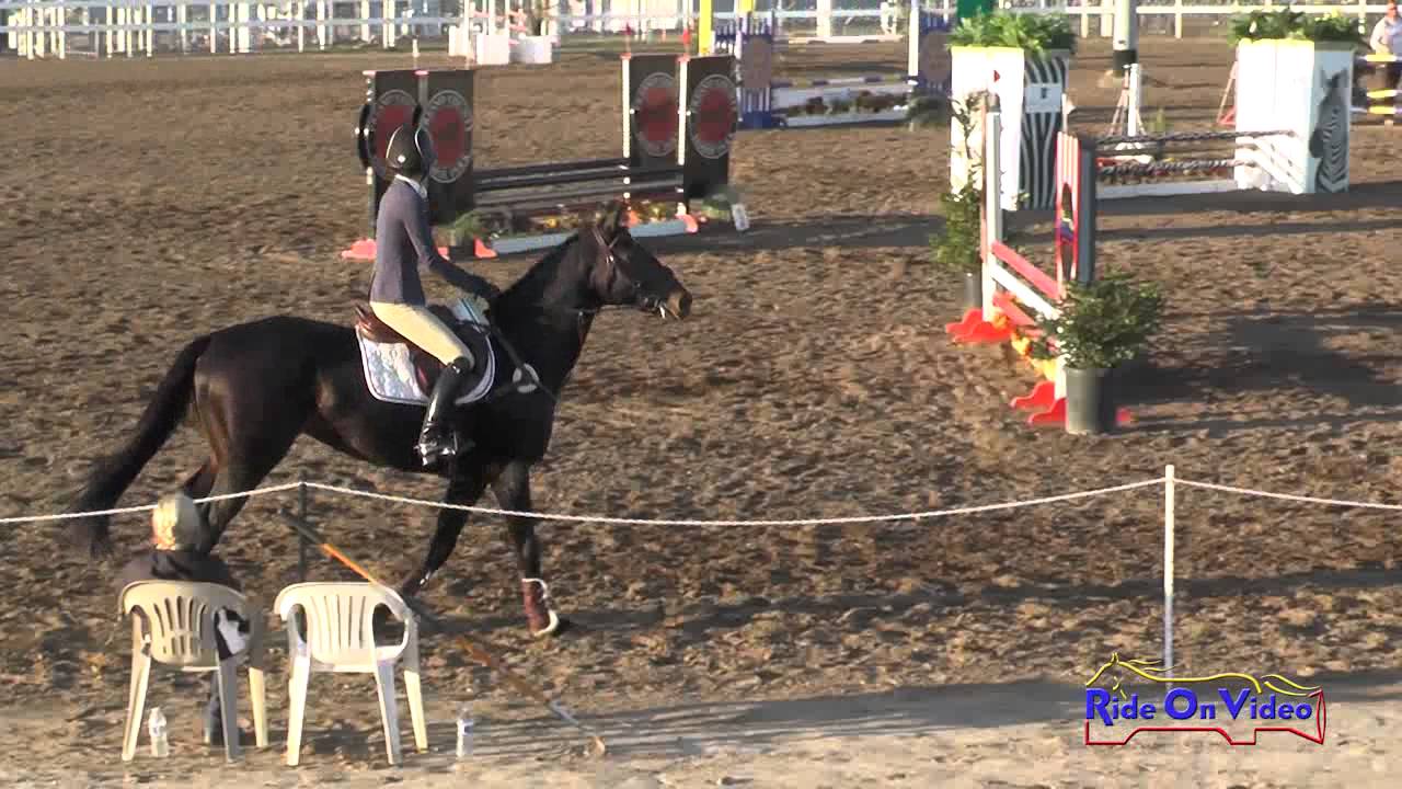 186S Eleanor Leonard on Boo Radley Open Beginner Novice Show Jumping ...