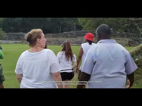 Sisamite: The Ape-Like Cryptid of Central America - New Encounters