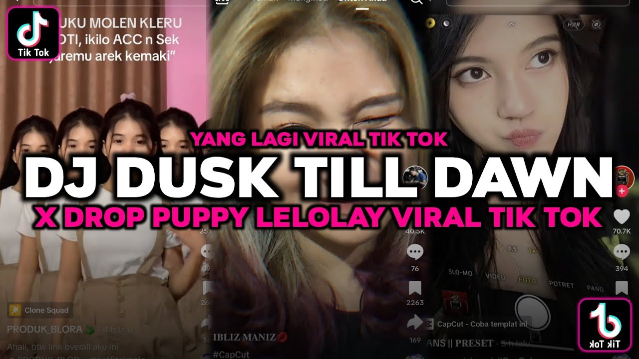 DJ DUSK TILL DAWN X DROP PUPPY LELOLAY REMIX VIRAL TIK TOK TERBARU ...