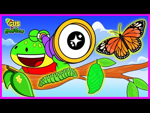 24 HOUR BUTTERFLY CHALLENGE! Learn how Caterpillars become a Butterfly!