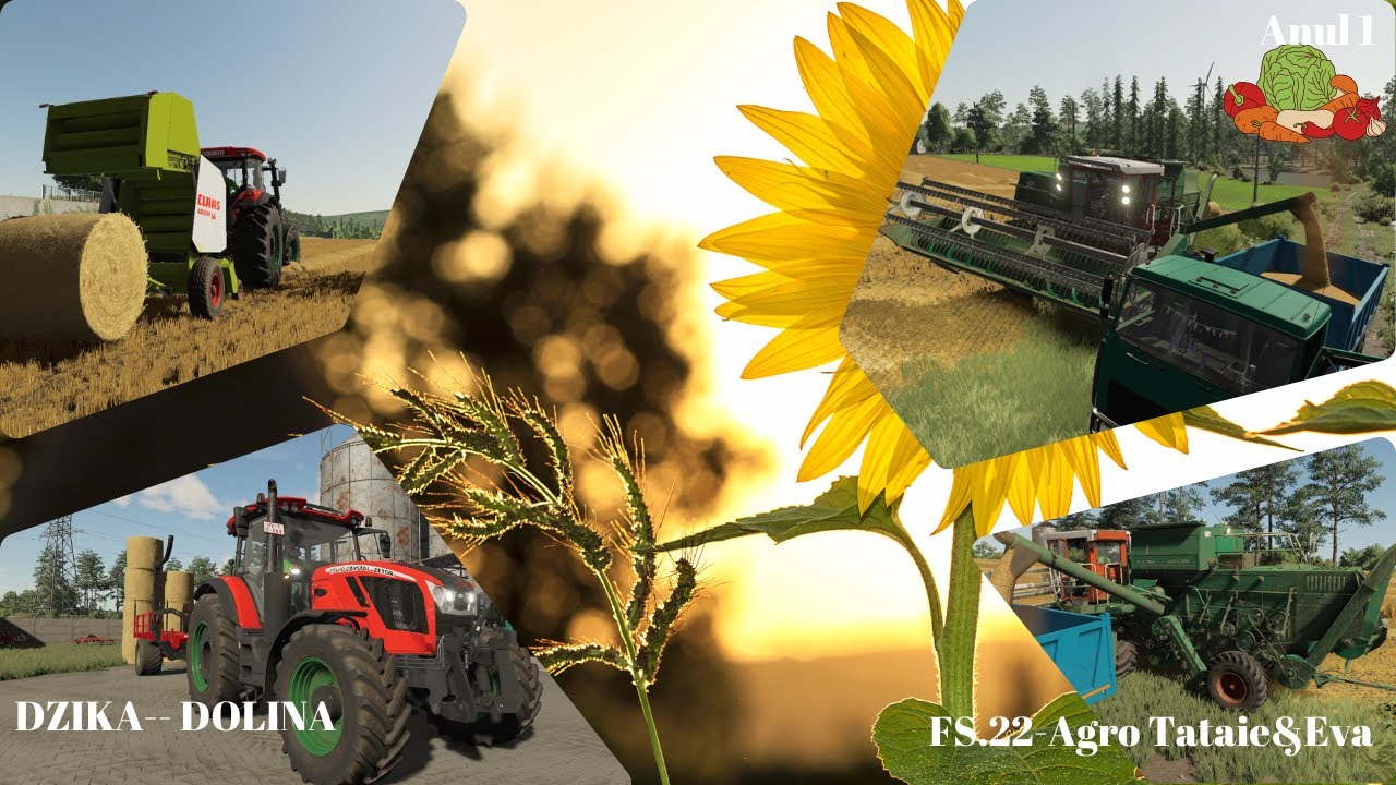 #FS22 #002/ Dzika-Dolina/Cab View DON 1500. Recoltăm floarea soarelui /ULTRA REALISTIC/ - YouTube