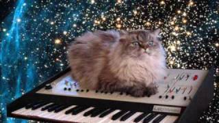 Keyboard Cat In Space