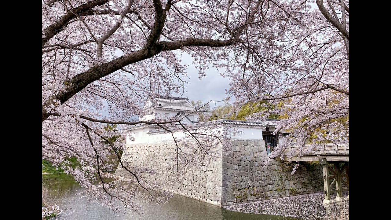 水口城 | Minakuchi Castle | 🏯 #short - YouTube