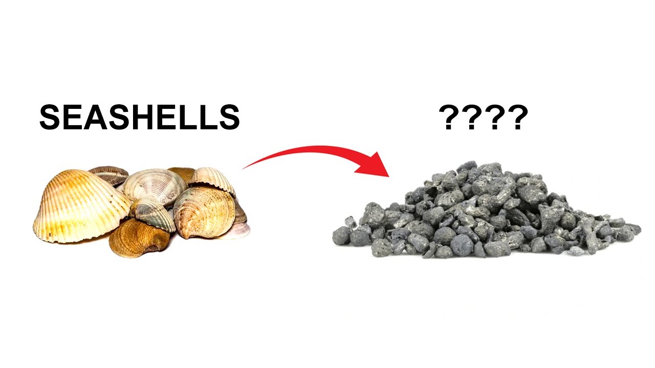 Making Calcium metal from seashells - YouTube