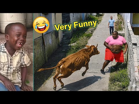 Top Most Funniest Videos Ever Of  The Year// Try Not To Laugh 😂 Ultimate Challenge 
