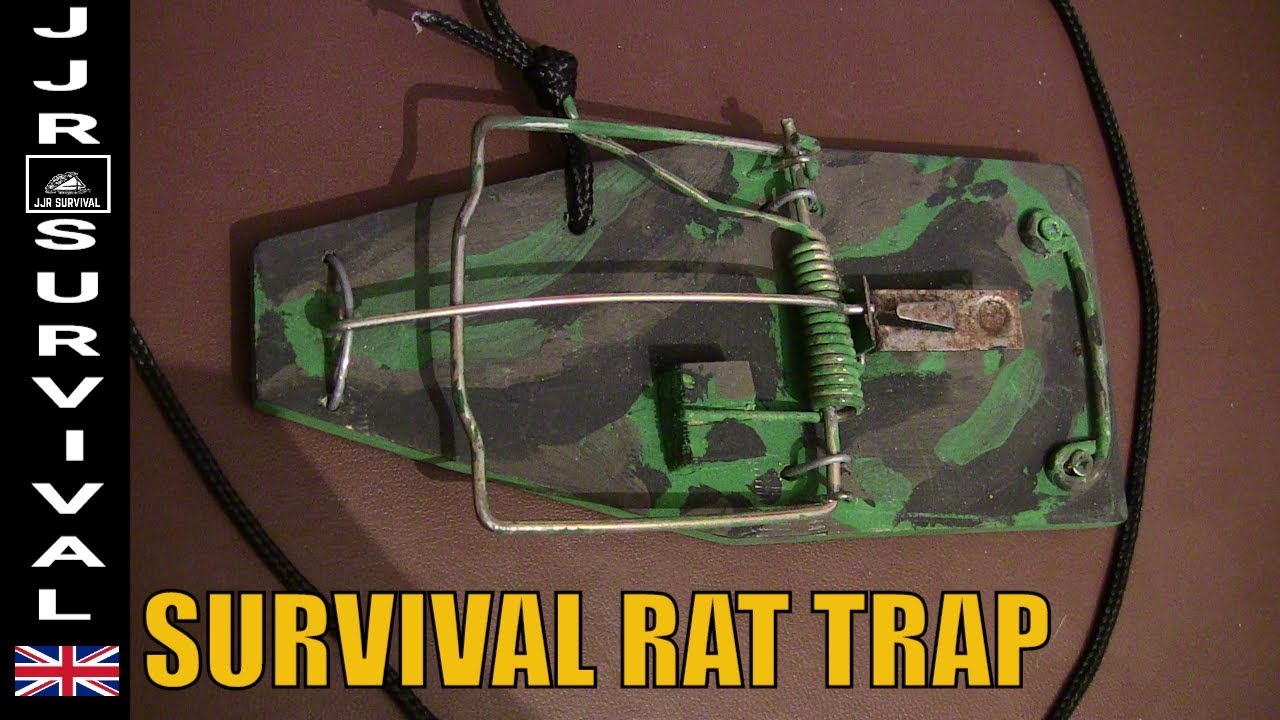 Modified Survival Rat Trap - YouTube