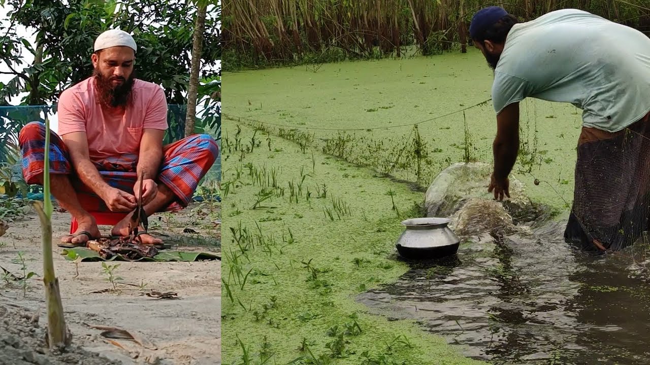Hunting Fish & Cooking is Great Fun | মাছ ধরা এবং রান্না করা দারুণ মজার ...