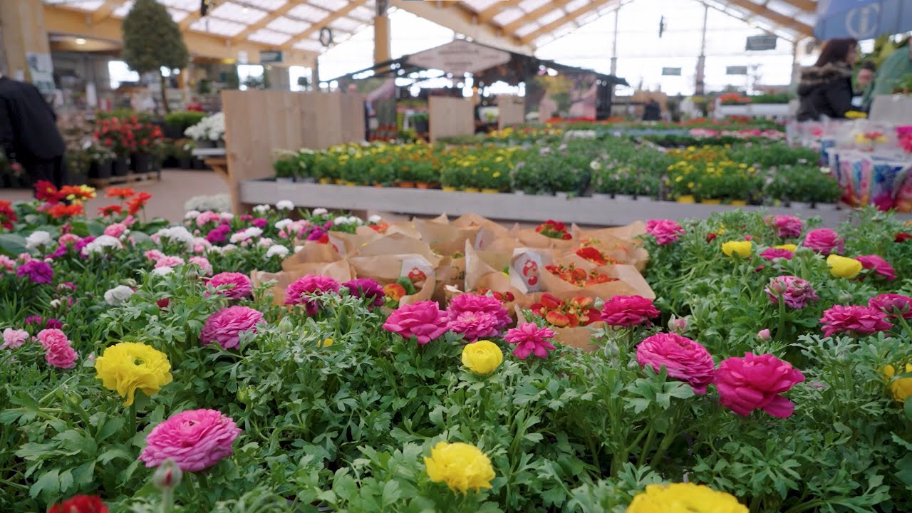 Famiflora Mouscron 2022 | Faites entrer le printemps dans votre maison ...