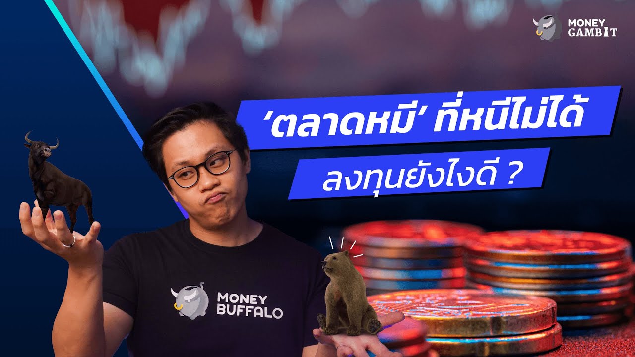 ตลาดหมีที่หนีไม่ได้ ลงทุนยังไงดี ? | Money Buffalo - YouTube