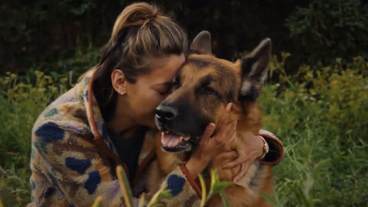 Charlie, Sarah and Rex cute scene season 4 episode 4 ending scene - YouTube
