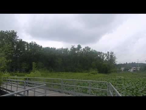 Fishin' For Fun - Ep. 2