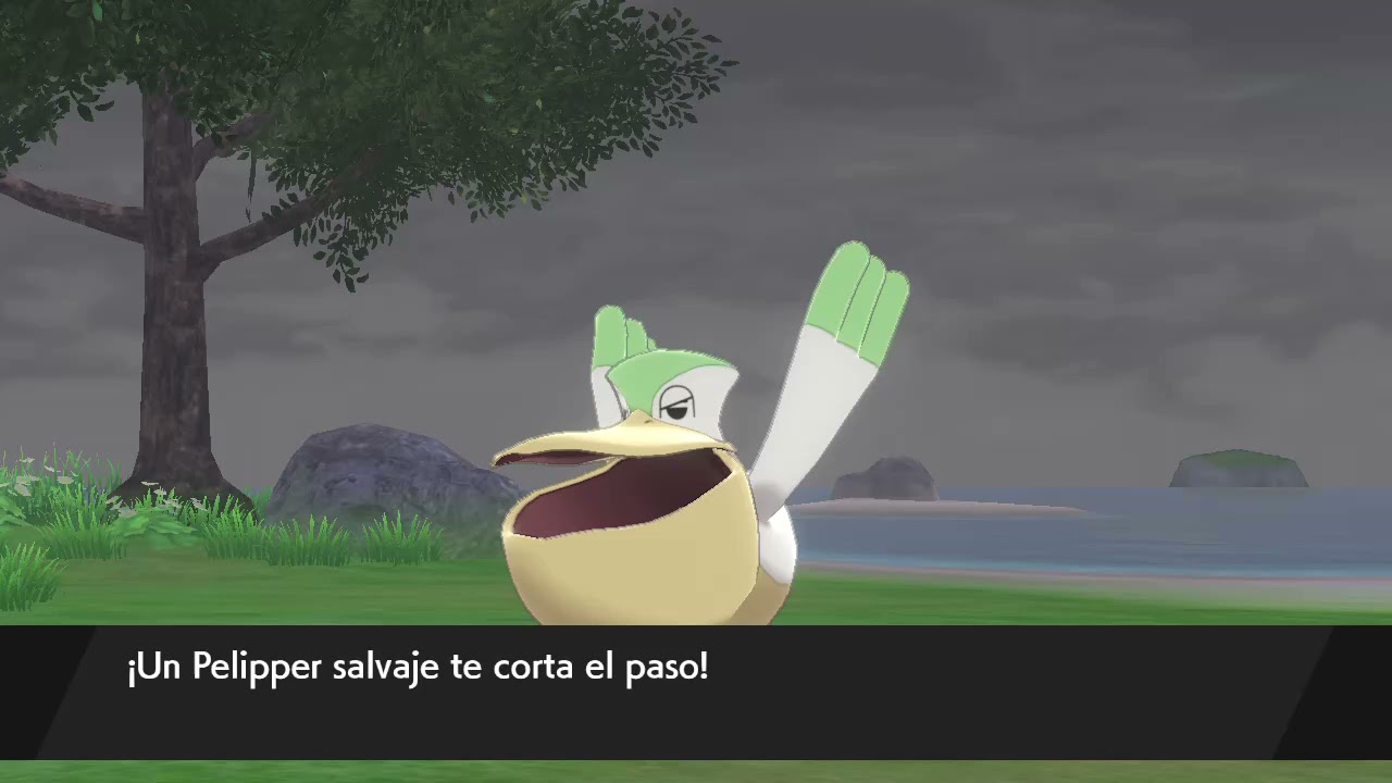 Shiny Pelipper in Pokémon Sword and Shield!!! - YouTube