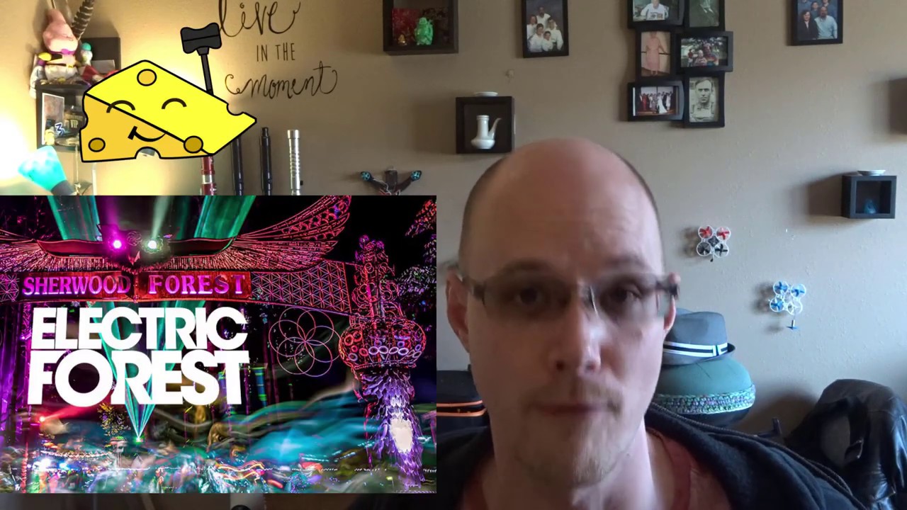 2019 Electric Forest Plug-In Programs - YouTube