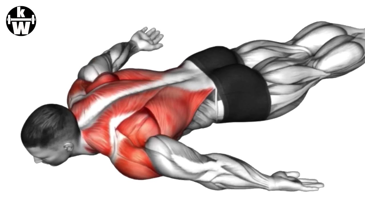 It's Enough Back Muscle Exercise Without Equipment. - YouTube