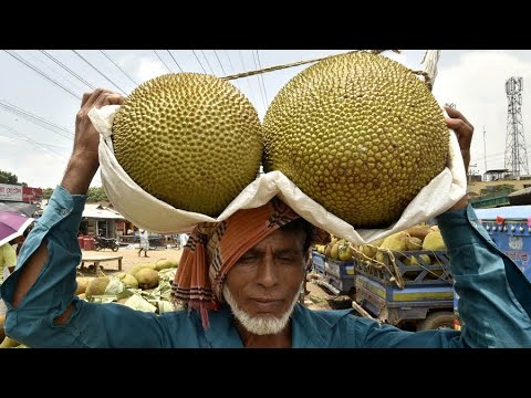INDIAN Jackfruit!!!WHY IT IS NEEDED AND WHY JEFRUIT.STREET FOOD IN ...
