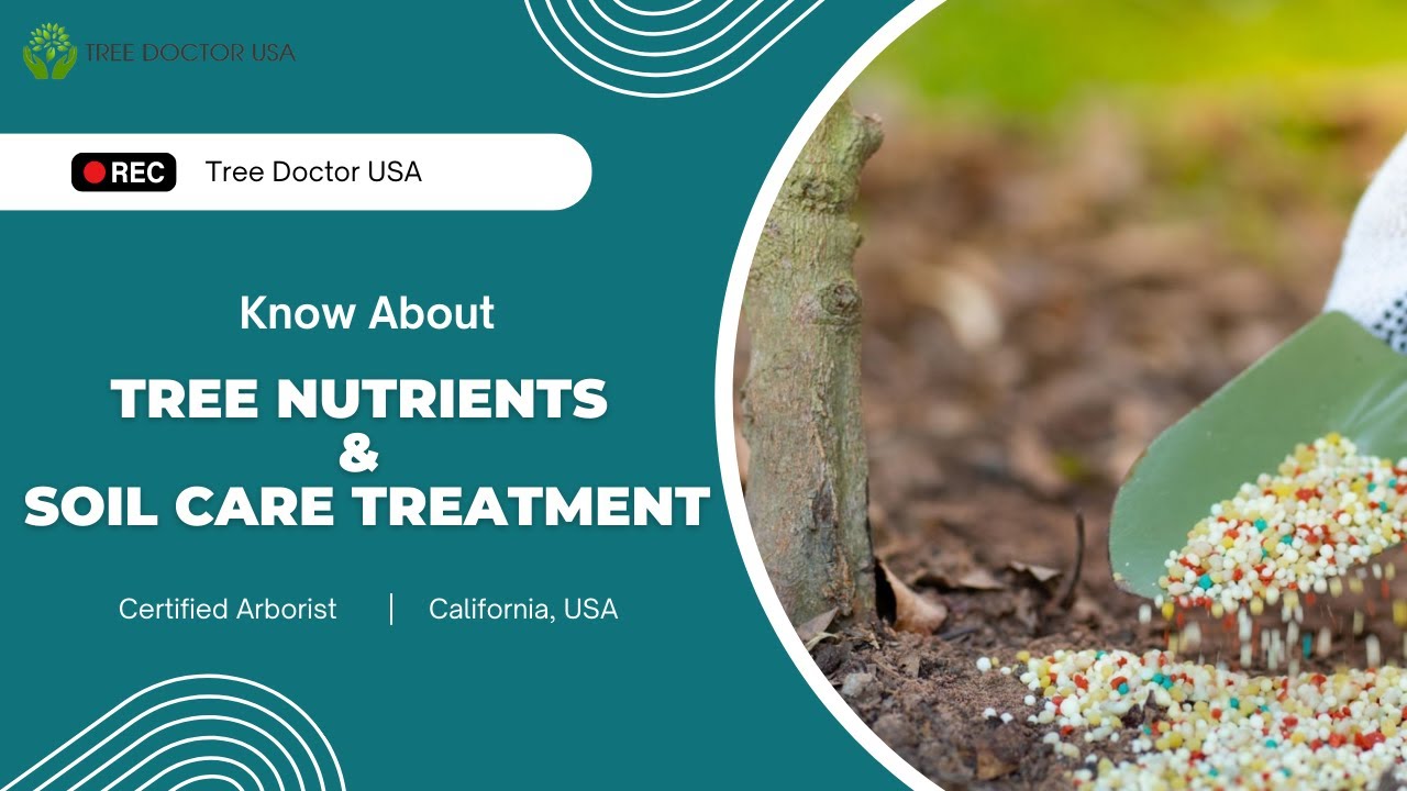 Best Tree Nutrition Guild : Boost Growth and Health with Soil Care and ...