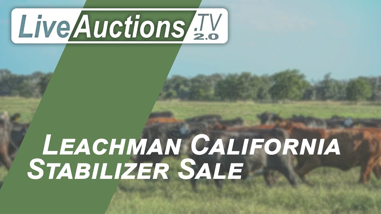 Leachman California Stabilizer Sale - YouTube