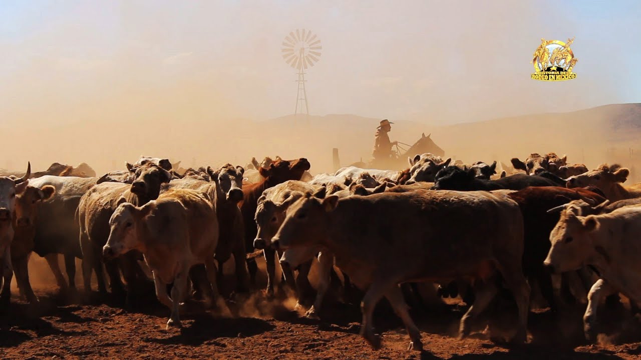 Historia del Rodeo en México. Capítulo I El Inicio. Documental. - YouTube