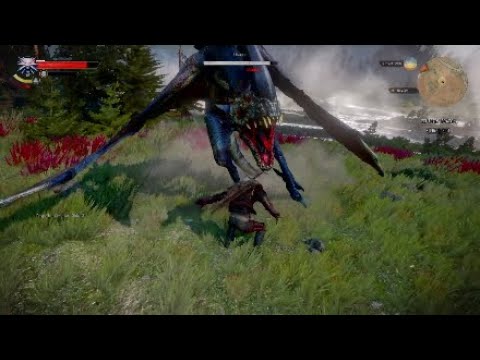 The Witcher 3 Wild Hunt - Contract: Dragon - YouTube