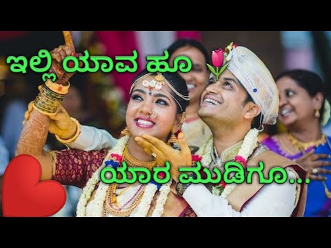 Elli yava huvu yara mudigo yaru ballaru || kannda love felling whatesapp status video