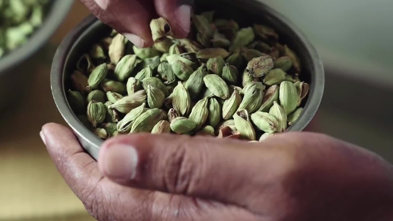The Life Cycle of Cardamom | Modern Agriculture: Cultivating and ...