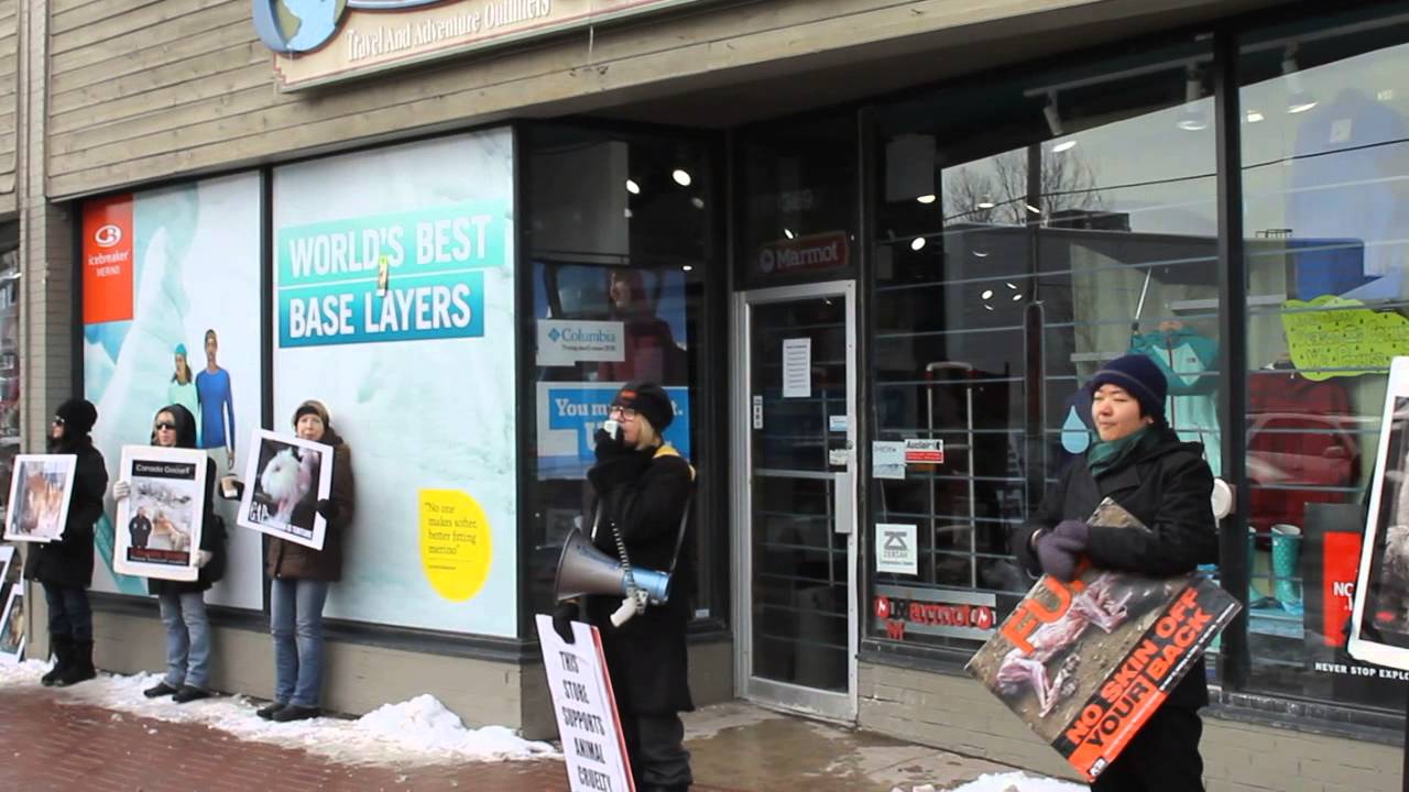 NATIONAL ANTI FUR DAY - OTTAWA the Expedition Shoppe in Westboro part 1 ...