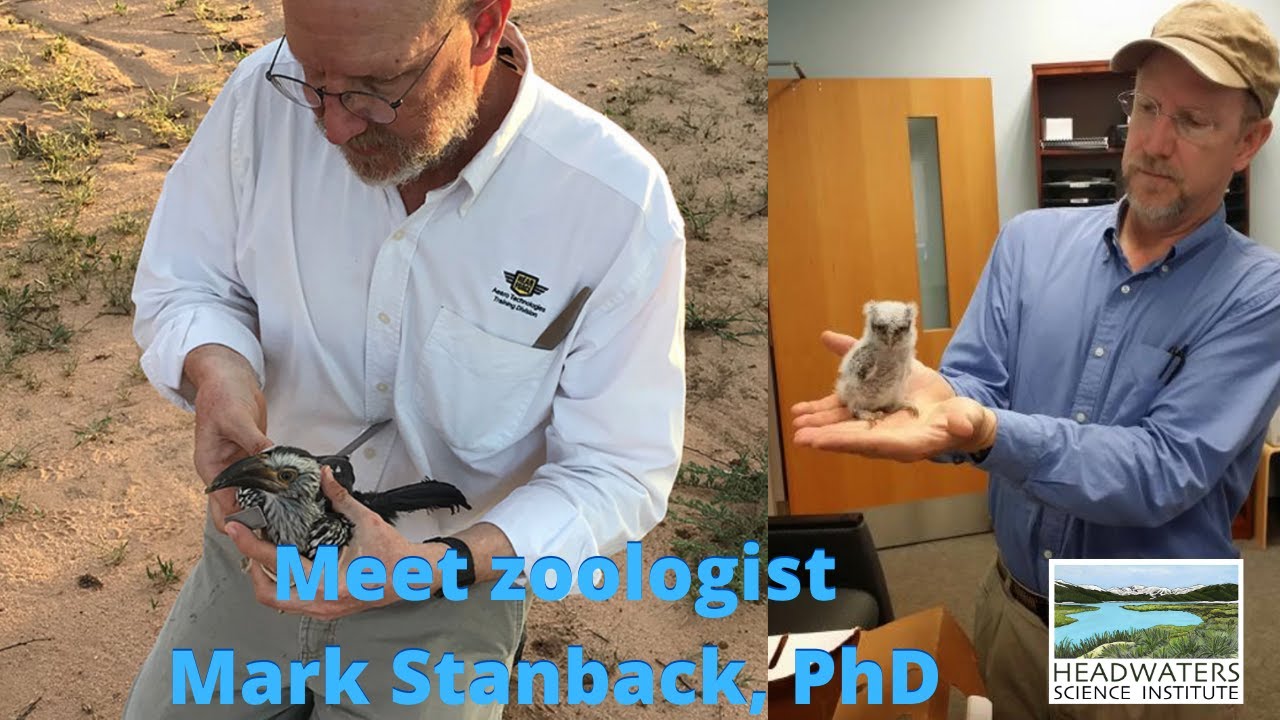 Lunch With A Scientist episode 3: Mark Stanback - YouTube