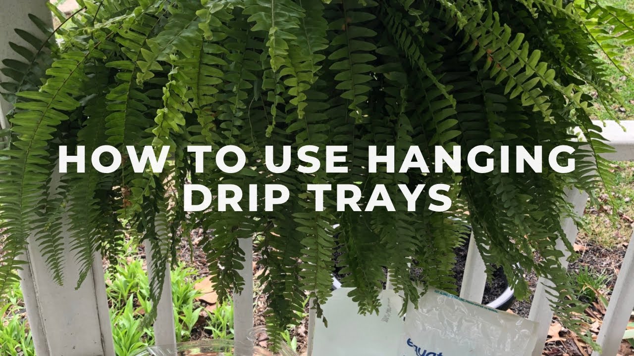 How to use hanging drip pans. 💚 - YouTube