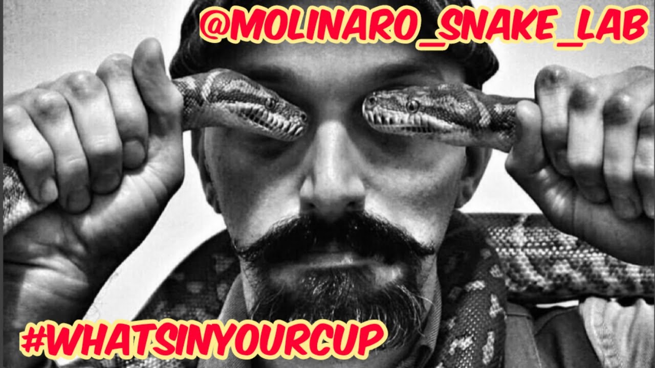 Ep14 Molinaro Snake Lab What's In Your Cup? - YouTube